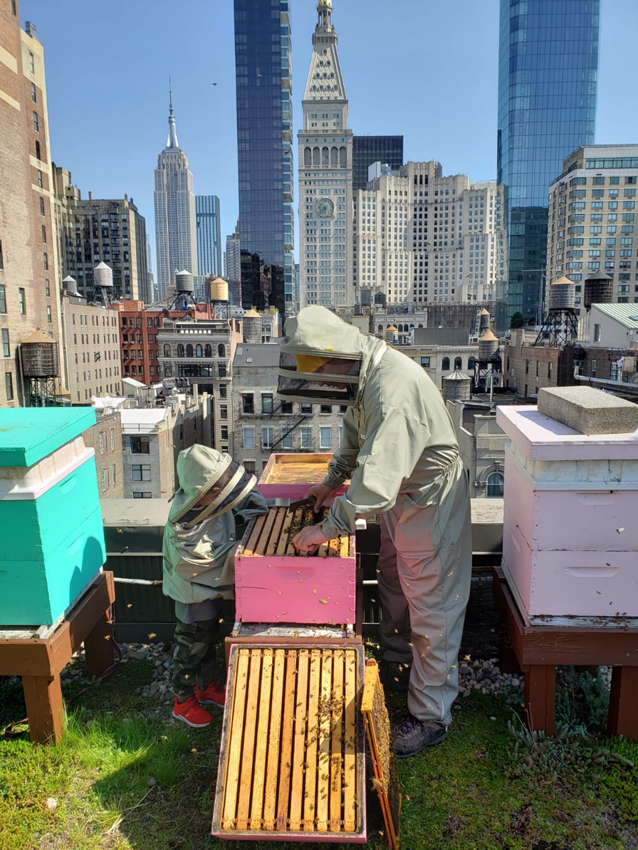 Rooftop Beekeeping: Honey Bees in the Sky - Backyard Beekeeping